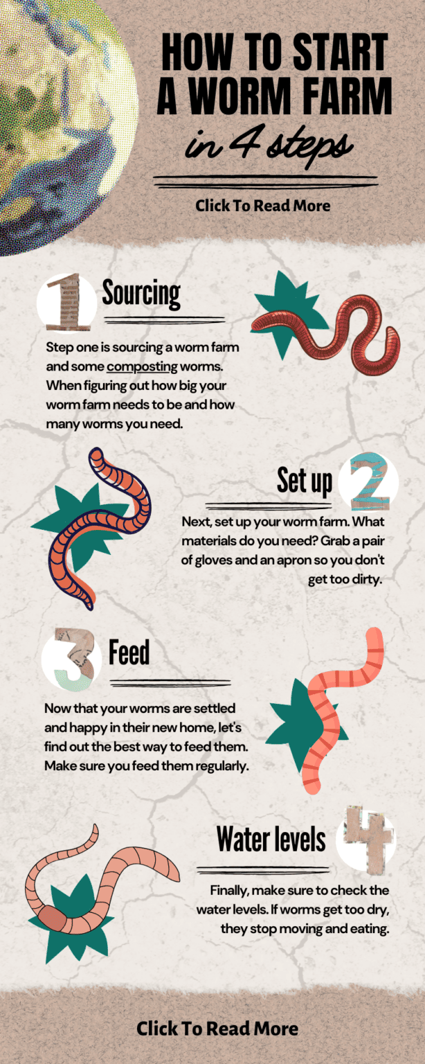 How to start a worm farm in 4 steps
