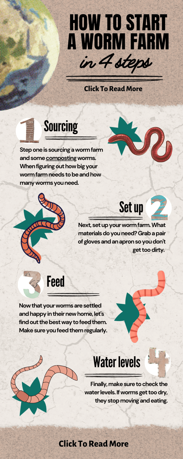 How to start a worm farm in 4 steps